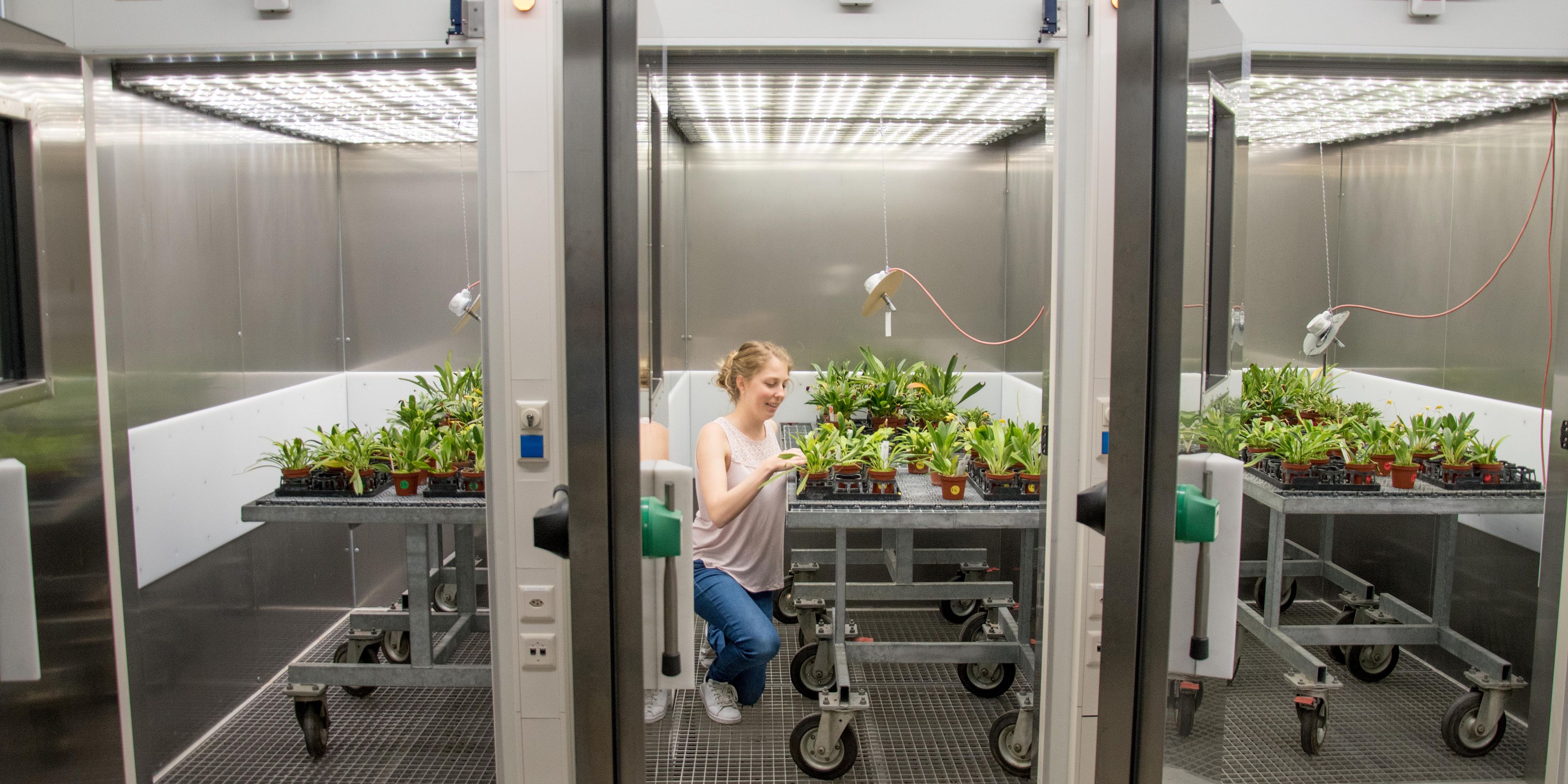 Phytotron Facility | Physiological Plant Ecology