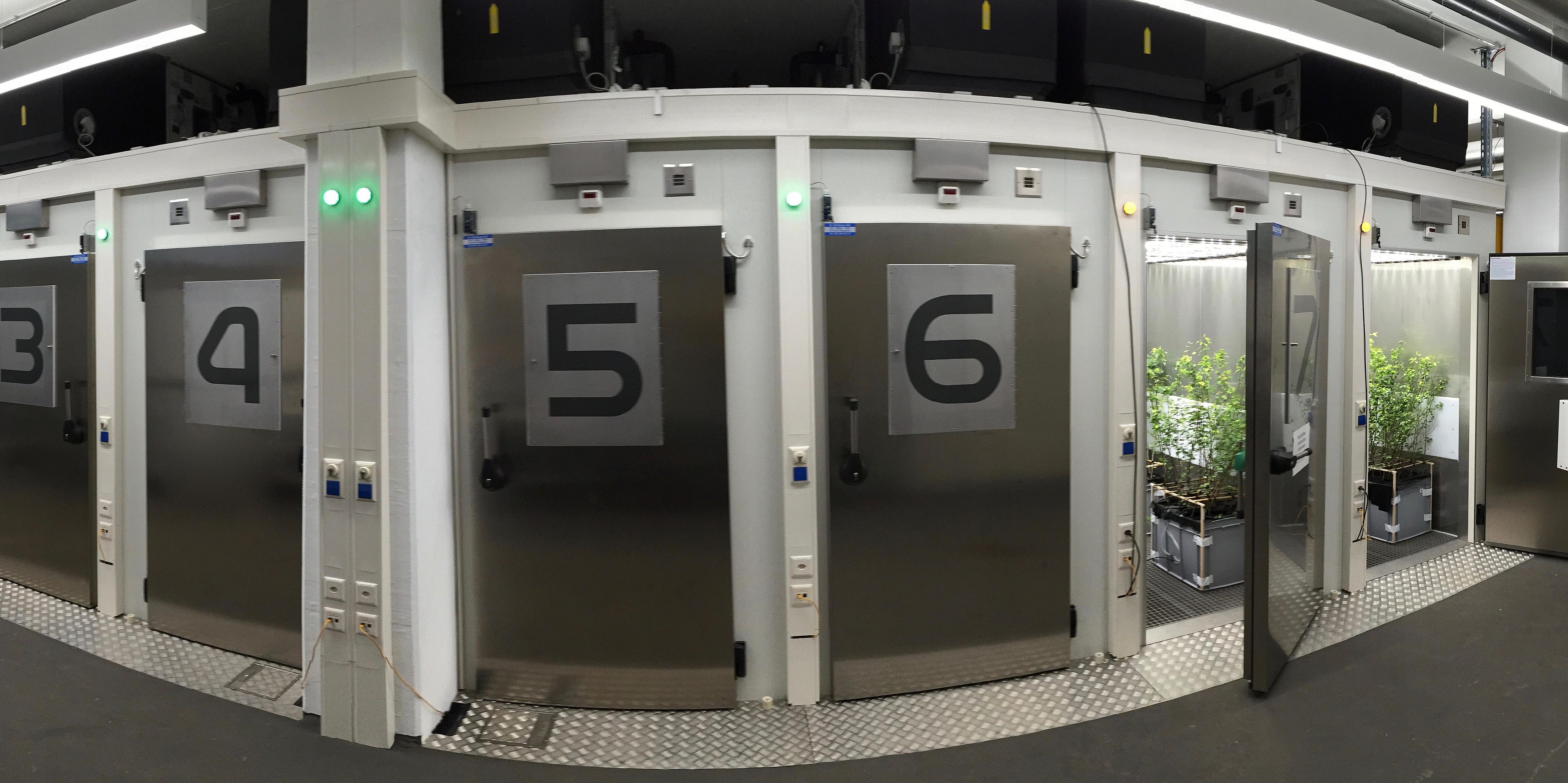 Phytotron Facility | Physiological Plant Ecology